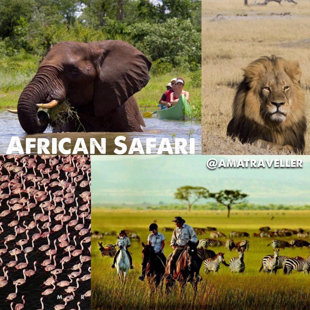 Plan your African Safari التخطيط لرحله سفاري في افريقيا - | Middle East ...